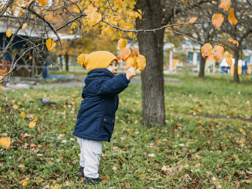 Home Activities to Support Cognitive Development in Early Childhood ...